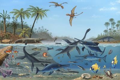 'Cretaceous Life, Artwork' Photographic Print - Richard Bizley ...