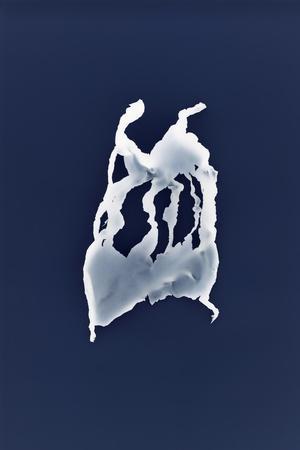 'Untitled, 2003, (Unique C-Type Photogram)' Giclee Print - Richard ...