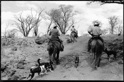 'Riding out on the Haleakala Ranch on Maui, Hawaii, Some of the Oldest ...