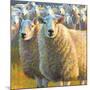 'Pirate Sheep' Giclee Print - Rita Kirkman | AllPosters.com