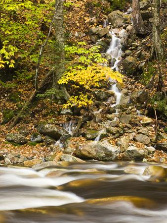 'Roaring Brook in Fall in Vermont's Green Mountains National Forest ...