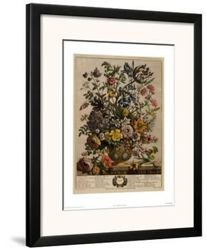 Robert Furber Posters, Prints, Paintings & Wall Art | AllPosters.com