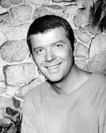 'Robert Reed - The Brady Bunch' Photo | AllPosters.com