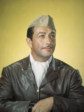 Robert Taylor Posters, Prints, Paintings & Wall Art | AllPosters.com
