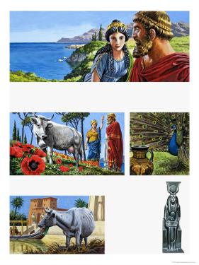 Roger Payne Posters, Prints, Paintings & Wall Art | AllPosters.com