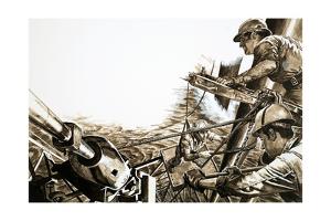 Roger Payne Posters, Prints, Paintings & Wall Art | AllPosters.com