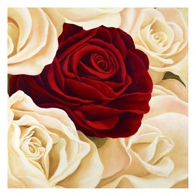 'Rose Composition II' Print - Serena Biffi | AllPosters.com