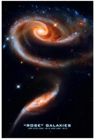 'Rose Galaxies Hubble Space Photo Poster Print' Prints | AllPosters.com