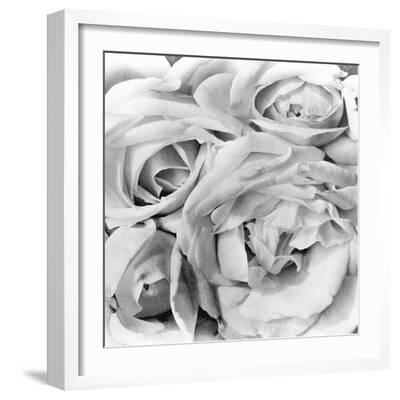 'Roses, Mexico City, 1924' Photographic Print - Tina Modotti ...