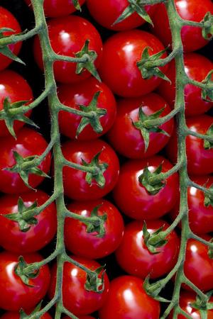 'Rows Of Cherry Tomatoes' Photographic Print - Charles Bowman ...