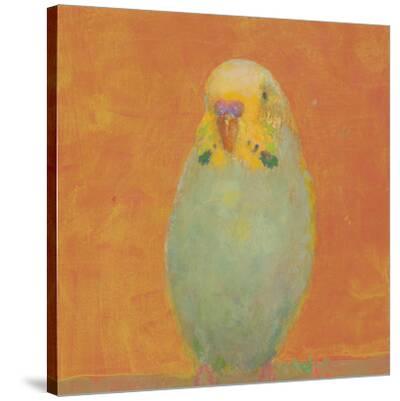 'Bright Birds - Lull' Stretched Canvas Print - Roy Woodard | AllPosters.com