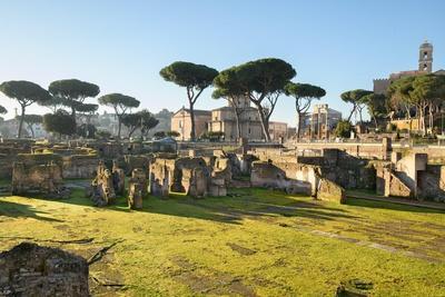 Ruins in the Roman Forum in Rome, Italy Photo | AllPosters.com