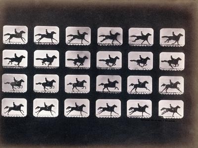 'Running (Galloping) by Eadweard J. Muybridge, 1878-79 (Salt Print ...