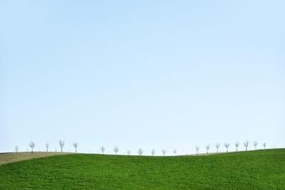 Rural minimal spring landscape with green hill and young trees Photo ...