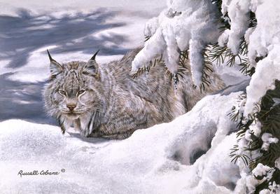 'Winter Lynx' Giclee Print - Russell Cobane | AllPosters.com