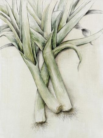 'Rustic Table - Leek' Giclee Print - Janie Howe | AllPosters.com