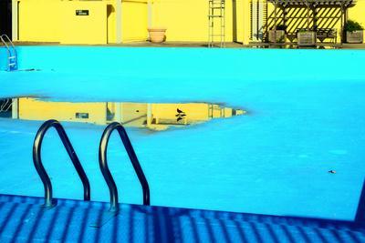 'An Empty Public Swimming Pool in the Bronx, New York City ...