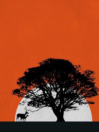'Safari Sunset' Posters - Jasmine Woods | AllPosters.com