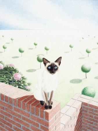 'Saké, 1980, Colour Pencil Drawing on Paper' Giclee Print - Rene Boin ...