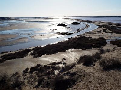 'Salin De Giraud, Commune D'arles. Landscape of Salt Marshes Exploited ...