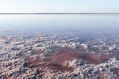 Salt crystals in pink water salt lake in Ukraine, Europe. Landscape ...