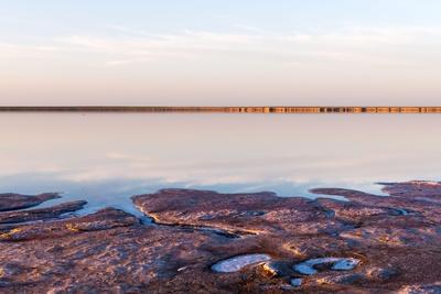 Salt crystals in pink water salt lake in Ukraine, Europe. Landscape ...