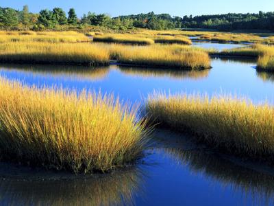 'Salt Marsh at Sunrise, Estuary of New Meadow River in Early Autumn ...