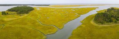 'Salt marshes and estuaries are found throughout Cape Cod ...