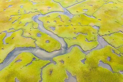 Salt marshes and estuaries are found throughout Cape Cod, Massachusetts ...
