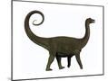 'Saltasaurus Was a Sauropod Dinosaur of the Cretaceous Period of ...