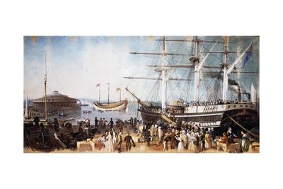 'Arrival of Ship of Immigrants in the Port of New York, 1853-1855' Giclee Print - Samuel Waugh ...
