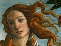 'The Birth of Venus, c.1485' Posters - Sandro Botticelli | AllPosters.com