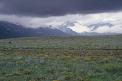 'Santa Fe Trail Ruts on the Cimarron Cutoff Route, New Mexico ...