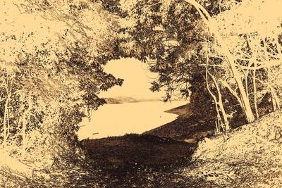 Hidden Lake View Photographic Print - Santhosh ch | AllPosters.com