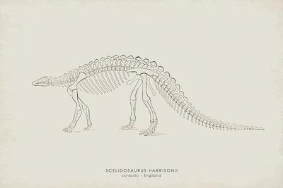 'Scelidosaurus' Giclee Print - The Vintage Collection | AllPosters.com