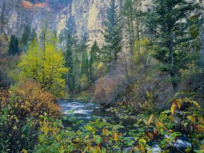 'Boulders Amid Wildflowers, Ryder Lake, High Uintas Wilderness, Wasatch ...