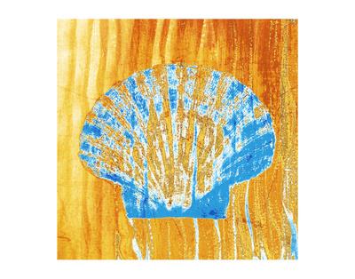 'Seashell Surface' Premium Giclee Print | AllPosters.com