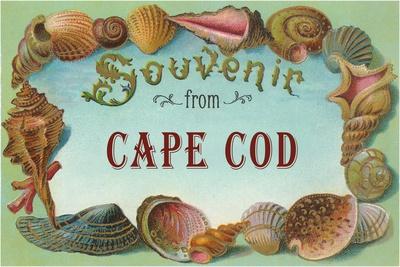 'Seashells, Souvenir from Cape Cod, Massachusetts' Posters | AllPosters.com