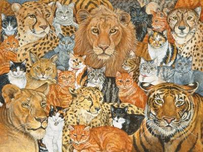 'Semi Wild Cat Spread' Giclee Print - Ditz | AllPosters.com