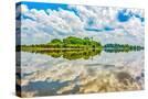 'Sepik River, Papua New Guinea. Dense jungle and sandy banks reflected ...