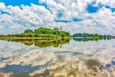 'Sepik River, Papua New Guinea. Dense jungle and sandy banks reflected ...