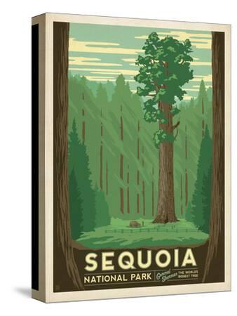 'Sequoia National Park' Stretched Canvas Print - Anderson Design Group ...