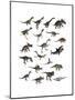 Set of Dinosaurs | AllPosters.com
