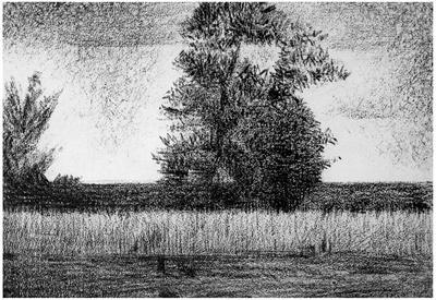 'Seurat The Trees Art Print Poster' Photo | AllPosters.com