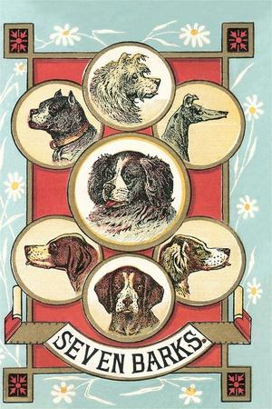 Seven Barks, Dog Portraits Prints | AllPosters.com