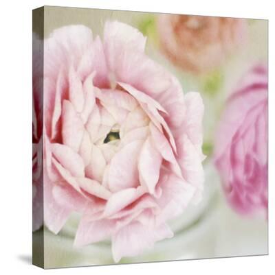 'Bouquet I' Stretched Canvas Print - Shana Rae | AllPosters.com