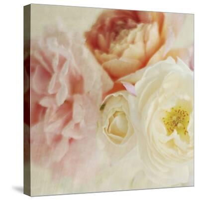 'Bouquet III' Stretched Canvas Print - Shana Rae | AllPosters.com