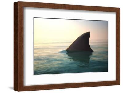 'Shark Fin above Ocean Water' Photographic Print - , Digital Storm ...
