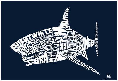 'Shark Types Text Poster' Prints | AllPosters.com