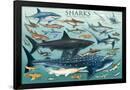 'Sharks' Posters | AllPosters.com